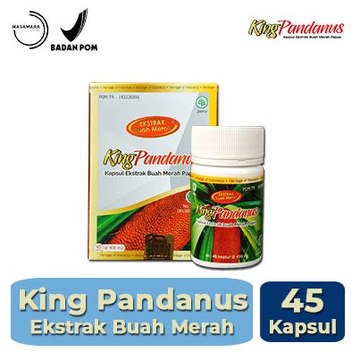 Jual Obat Berbagai Penyakit King Pandanus Ekstrak Buah Merah Papua ...