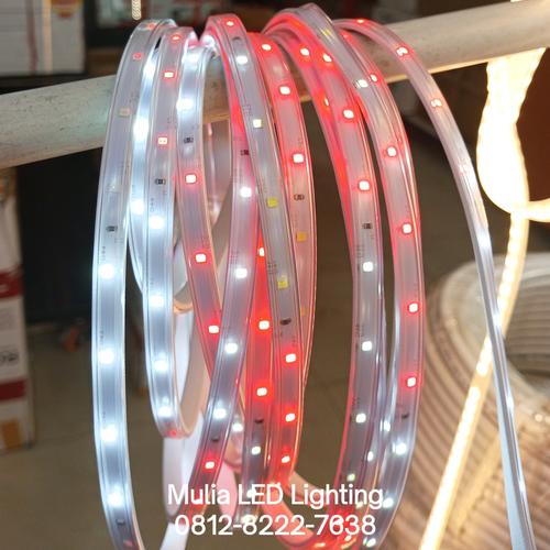 Jual Lampu Hias Merah Putih Lampu Twinkle Light Lampu Selang Lampu ...