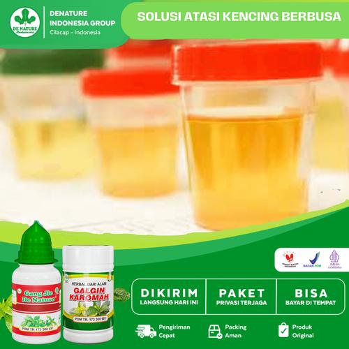 Jual Obat Sindrom Nefritik - Urine Berdarah - Ginjal Tidak Berfungsi ...