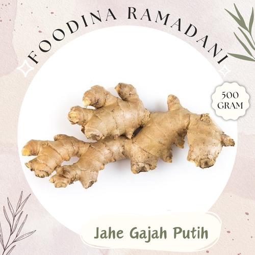 Jual JAHE Gajah Putih - Ginger Fresh [ Berat 500gr ] Harga Per 0,5 Kg ...