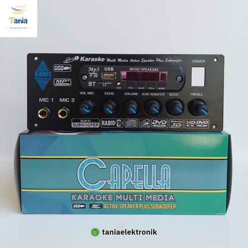 Jual KIT ACTIVE SPEAKER ECHO CAPELLA + BLUETOOTH - Kab. Bandung - Tania ...