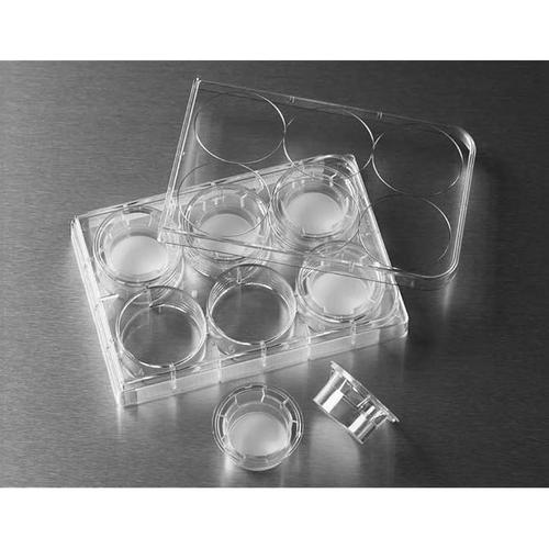 Jual Corning Transwell 3412 Polycarbonate Sterile Tissue Culture ...