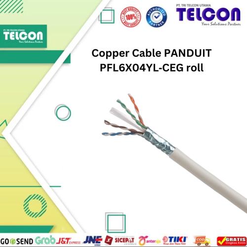Jual PANDUIT Copper Cable Cat 6A, 23 AWG, F/UTP, LSZH-3, Yellow ...