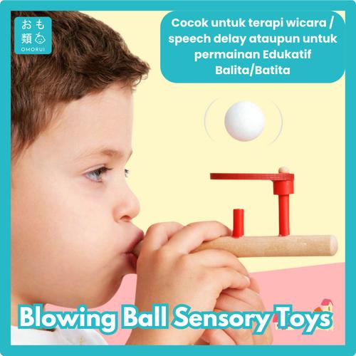 Jual Mainan Edukasi Terapi Speech Delay PREMIUM Blowing Ball Balloon ...