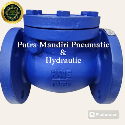 Jual Swing Check Valve 2" inch PN16 CAST IRON / Check Valve 2" inch ...