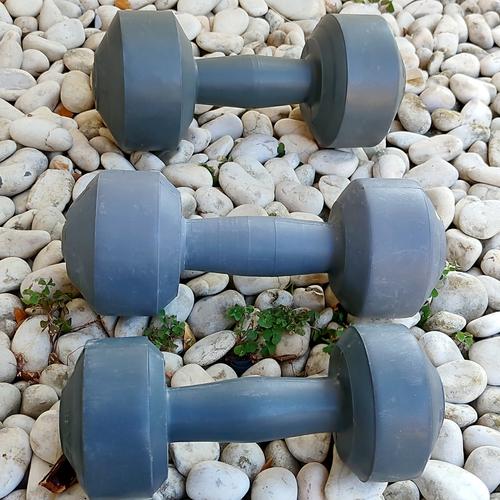 Jual BARBEL 1KG 2KG 3KG 4KG 5KG 6KG 7KG 8KG 9KG 10KG DUMBEL - 10KG - Kota Surabaya - RATU ONLINE ...