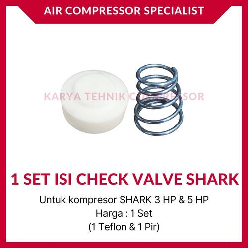Jual TERBARU - 1 SET Teflon Pir Isi Check Valve Kompresor Udara SHARK 3 ...
