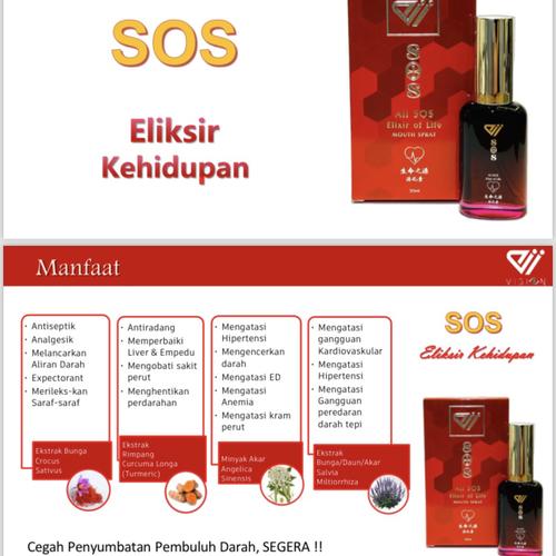 Jual Aii Vision SOS Mouth Spray Elixir Of Life Original - Kab. Mojokerto - ensshop2912 | Tokopedia