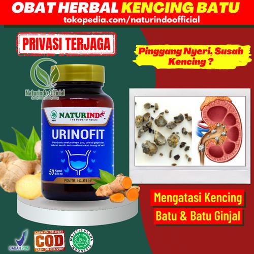 Jual Obat Herbal Batu Ginjal Kencing Gagal Ginjal ISK Urinofit ...