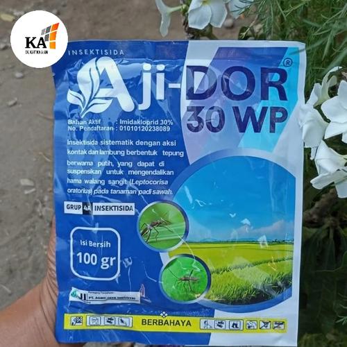 Jual insektisida sistemik bantu basmi walang sangit aji-dor 30 WP, 100gr. - Kab. Blitar ...