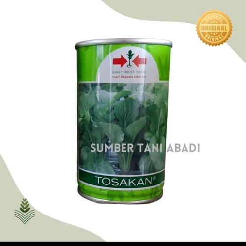 Jual Bibit Caisim TOSAKAN Kaleng - Benih Caisim - isi 100 gr - East ...