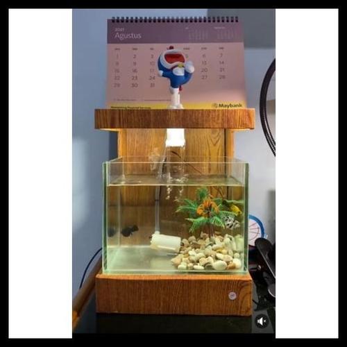 Jual DISPLAY KABINET AKUARIUM AQUASCAPE IKAN HIAS IKAN CUPANG MEWAH ...