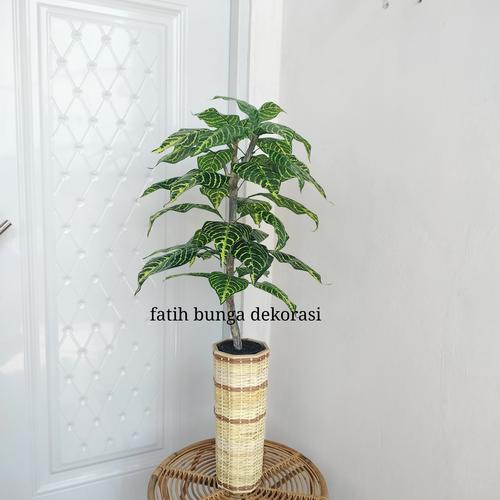 Jual Tanaman Dalam Pot Anyaman Pohon Sri Rejeki Dan Daun Motif ...