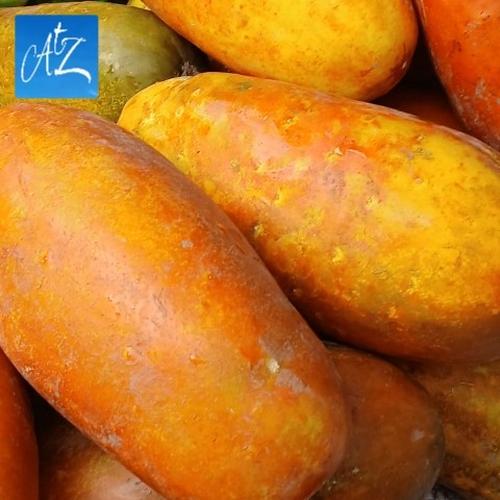 Jual Buah sayur mentimun ketimun timun tua segar pilihan fresh yellow ...