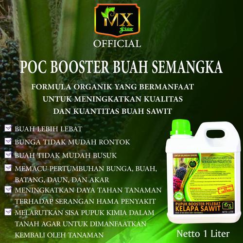 Jual Pupuk Organik Cair Pelebat Penyubur Sawit 1 Liter / Booster Buah Sawit - Jakarta Timur ...