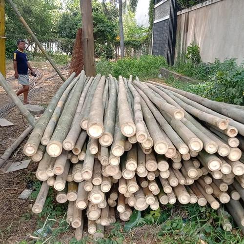 Jual bambu steger bambu tunjang cor UK 7/9 - Kab. Bogor - Distributor ...
