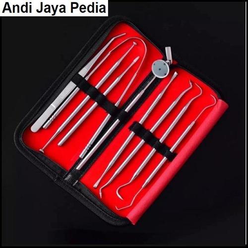 Jual Dental kit instrument isi 9 Alat Standart Kedokteran gigi ...