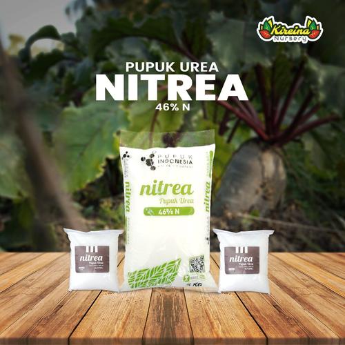 Jual Nitrea Urea 46% - Pupuk Untuk Mempercepat Pertumbuhan Tanaman ...