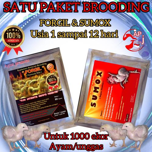 Jual vitamin forgil & sumox,1 paket untuk brooding ,suplement ayam broiler/unggas - Kab ...