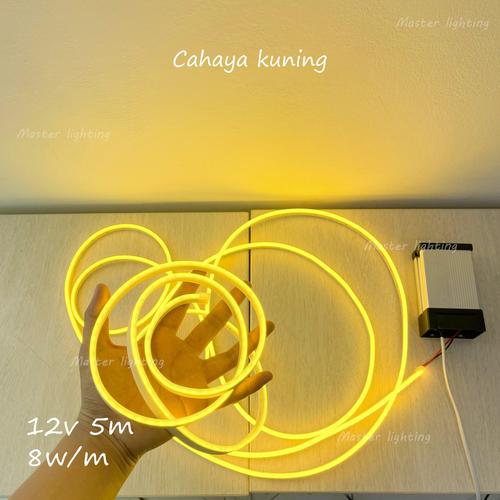 Jual Lampu strip led neon flex 5 meter Dc 12 volt flexible strip light ...