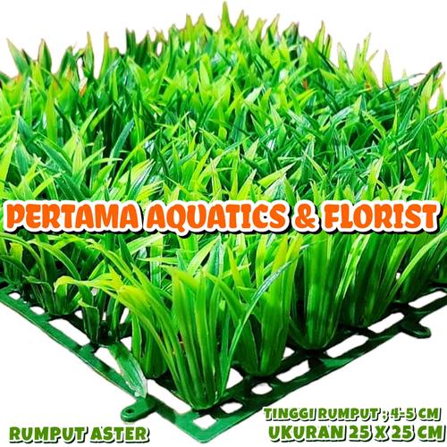 Jual Rumput Hijau/Rumput Aquarium/Rumput Dasar/Rumput Hiasan/Rumput ...