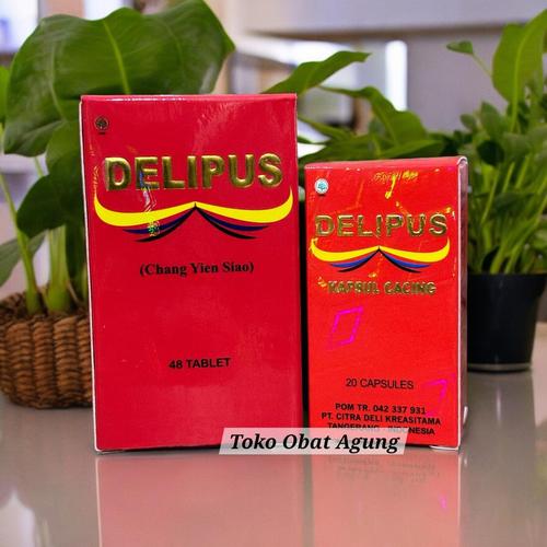 Jual Delipus isi 20 & 48 - obat panas, radang, sakit tenggorokan - Isi ...