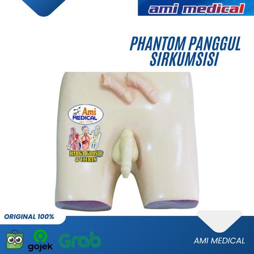 Jual Phantom Panggul Sirkumsisi / Alat Peraga Khitan Sunat - Jakarta Timur - Ami Medical | Tokopedia