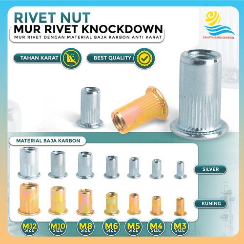 Promo Rivet Nut Rivnut Flat Nut M3 M4 M5 M8 M10 - M3 (50PCS) - Silver ...