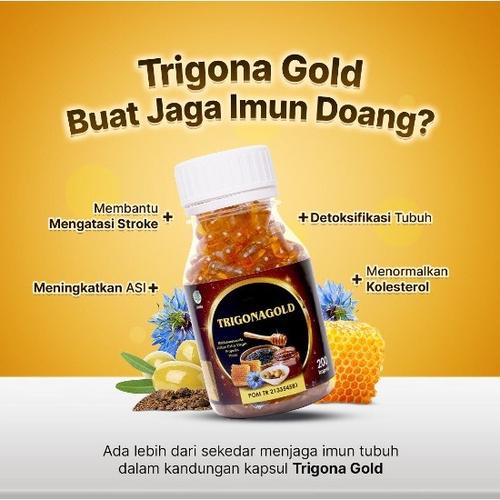 Jual Trigona Gold Habbatussauda Oil Extra Propolis Original - Isi 100 ...