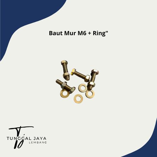 Jual Baut dan Mur M6 x 25/15/40/50 + Ring (30pcs) - M6 x 50 - Kab ...