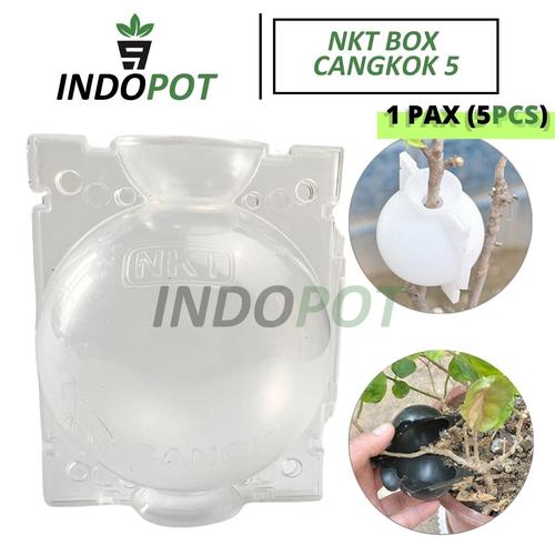 Jual (1 Pax) NKT Box Cangkok 5 Alat Bantu Modern Stek Cangkok Tanaman ...