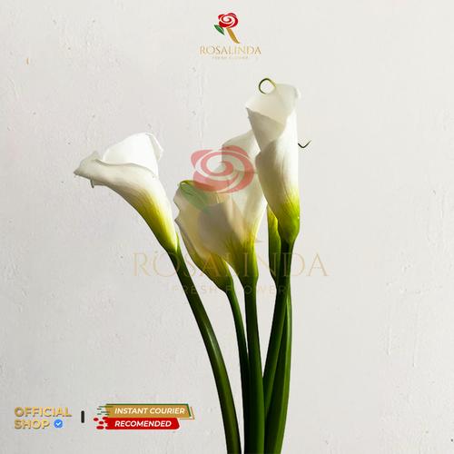 Jual Bunga Calla Lily Putih / Bunga Potong Segar - Jakarta Barat ...