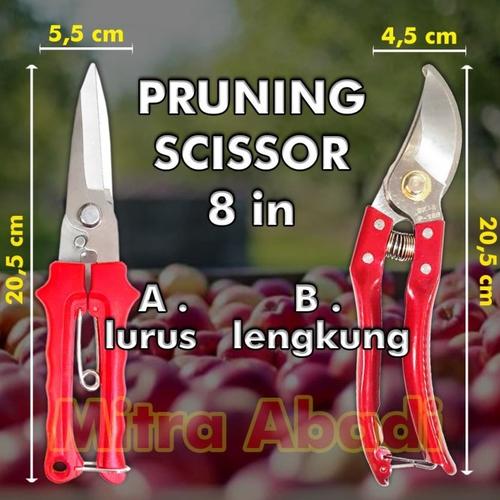 Jual Super Rating Gunting Dahan Tanaman/Pruning Scissor 8 INCH (8 ...