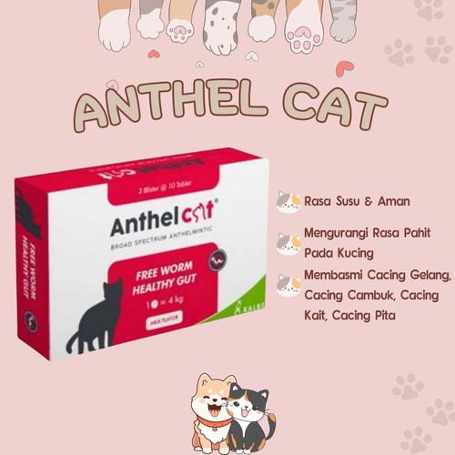 Jual Obat Cacing Kucing 1 Tablet - Obat Cacing Anthel Cat Kucing by Kalbe [ORIGINAL]/Harga ...