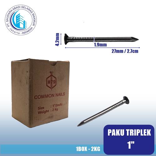 Jual Paku Triplek / Kayu 2.5 cm (1 Inch) Packing 2Kg / Box - Jakarta ...