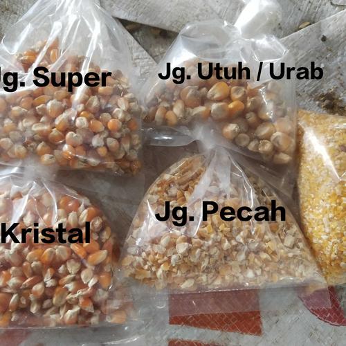 Jual Jagung utuh| Jagung giling| Campuran Pakan Ternak - Jg. Pecah No.2 ...