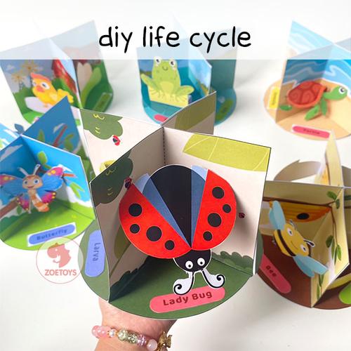 Jual Zoetoys DIY Life Cycle | Belajar Siklus Hidup Hewan | Art and ...