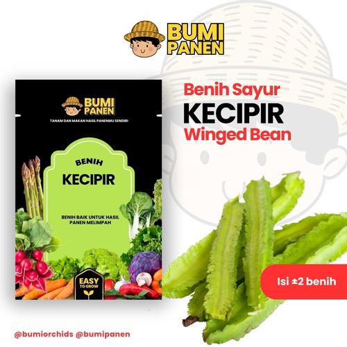 Jual Benih Kecipir / Winged Bean | Bumi Panen Seed Benih Heirloom Biji ...
