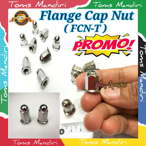 Jual Flange Cap Nut / Mur Topi Besi Tinggi ( FCN-T ) M5/M6/M8/M10 - M5 ...