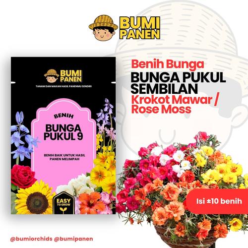 Jual Benih Bunga Pukul Sembilan 9 / Krokot Mawar / Rose Moss ...