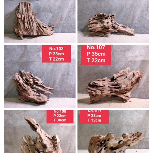Jual kayu rentek size besar kayu aquarium aquascape 101 SD 110 - 106 ...