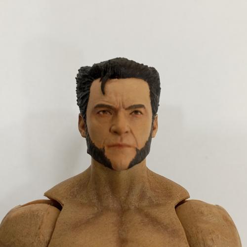 Jual custom headsculpt for wolverine marvel legends zd toys select ...