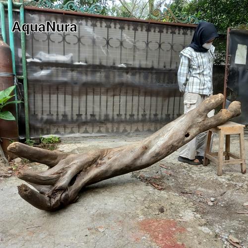 Jual kayu laut driftwood kl 260177 aquarium kolam taman - Kota ...
