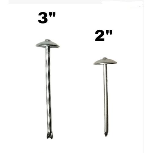 Jual PAKU SENG 2 INCH (5 CM)/ 3 INCH (7 CM) - BERAT 1 KG (REPACKED ...