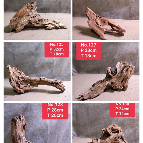 Jual kayu rentek drift Wood aquascape aquarium size medium 121 SD 130 ...