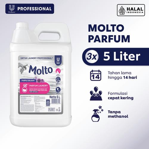 Promo Molto Parfum Laundry Professional Purple Delight Jerigen 5L (X3 ...