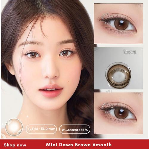 Jual Softlens Mini Dawn Brown Gray Grey Normal Minus (0.00 s.d -10.00 ...