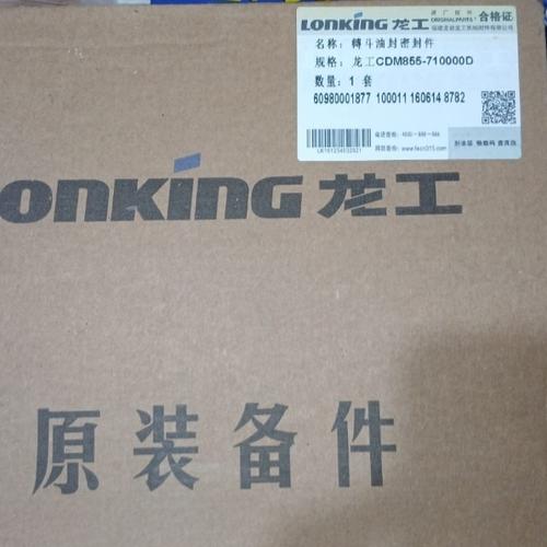 Jual SEAL KIT TILT CYLINDER LOADER LONKING CDM855 - Kota Palembang ...