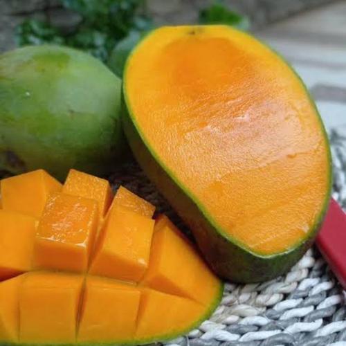 Jual mangga harumanis super | mangga alpukat | mangga mateng pohon - 1 ...