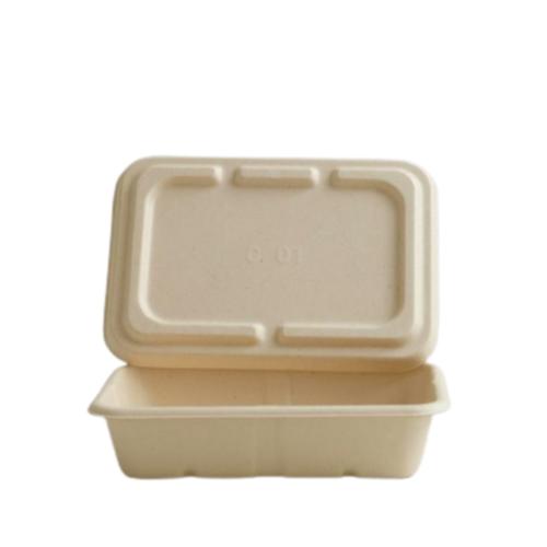 Jual Bagasse Sample Set Lunch Box Loyang Kotak Makanan Tahan Panas ...